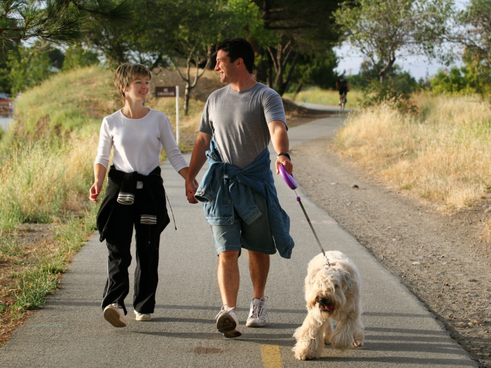 Step into health with the benefits of regular walking
